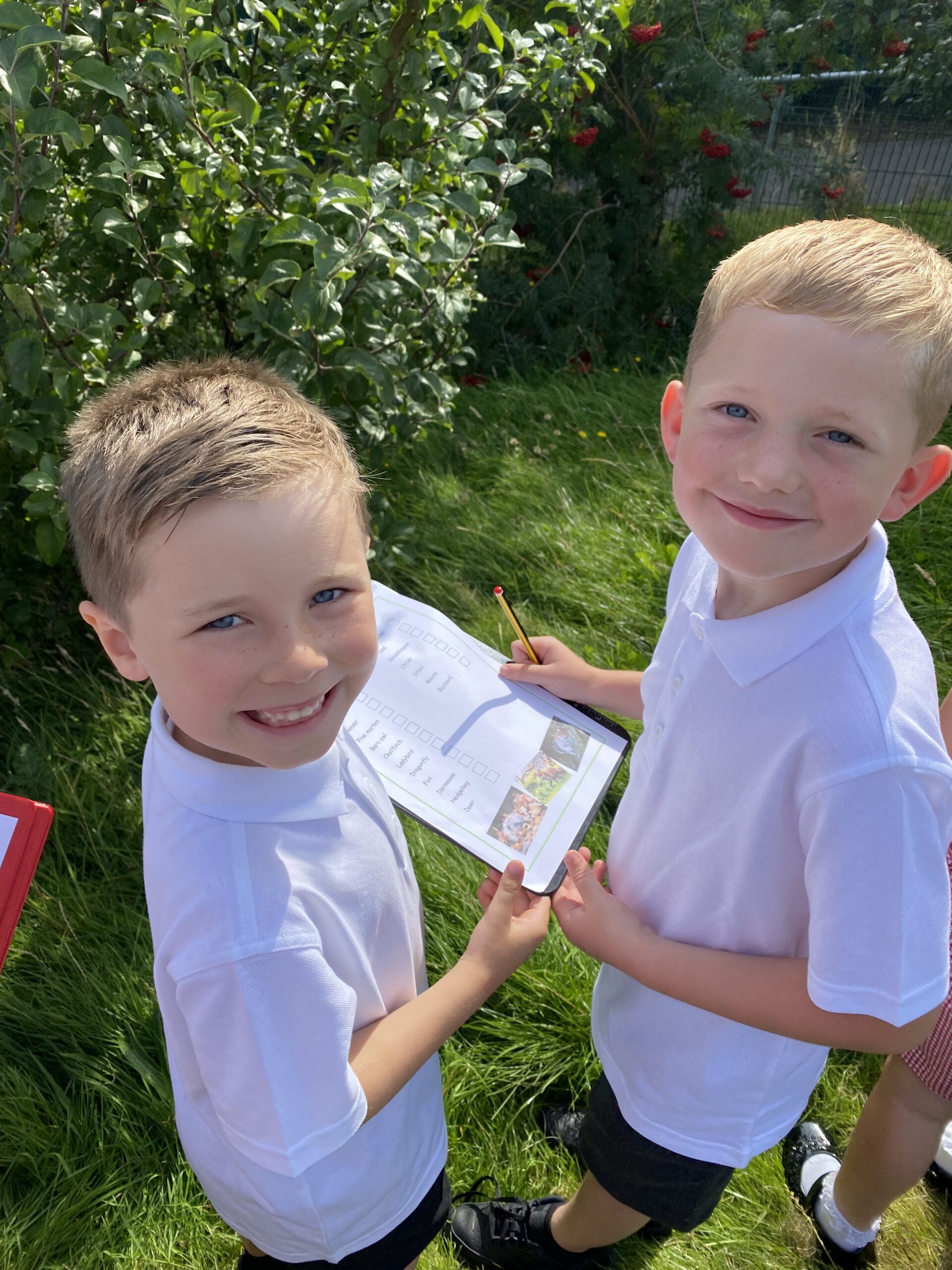 Class 7 Gallery : Thorpe Hesley Primary School