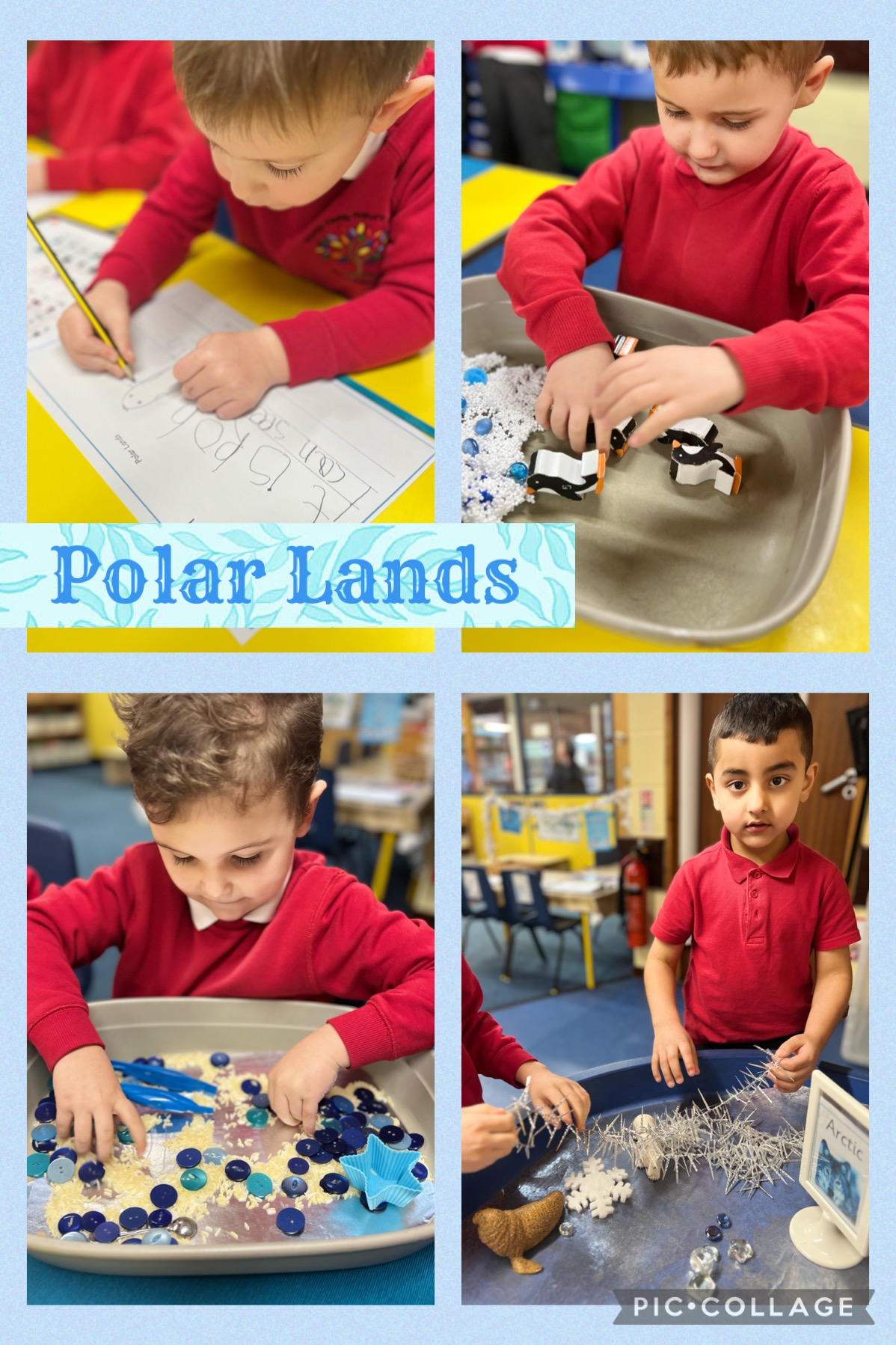 Polar Land Fun : Thorpe Hesley Primary School