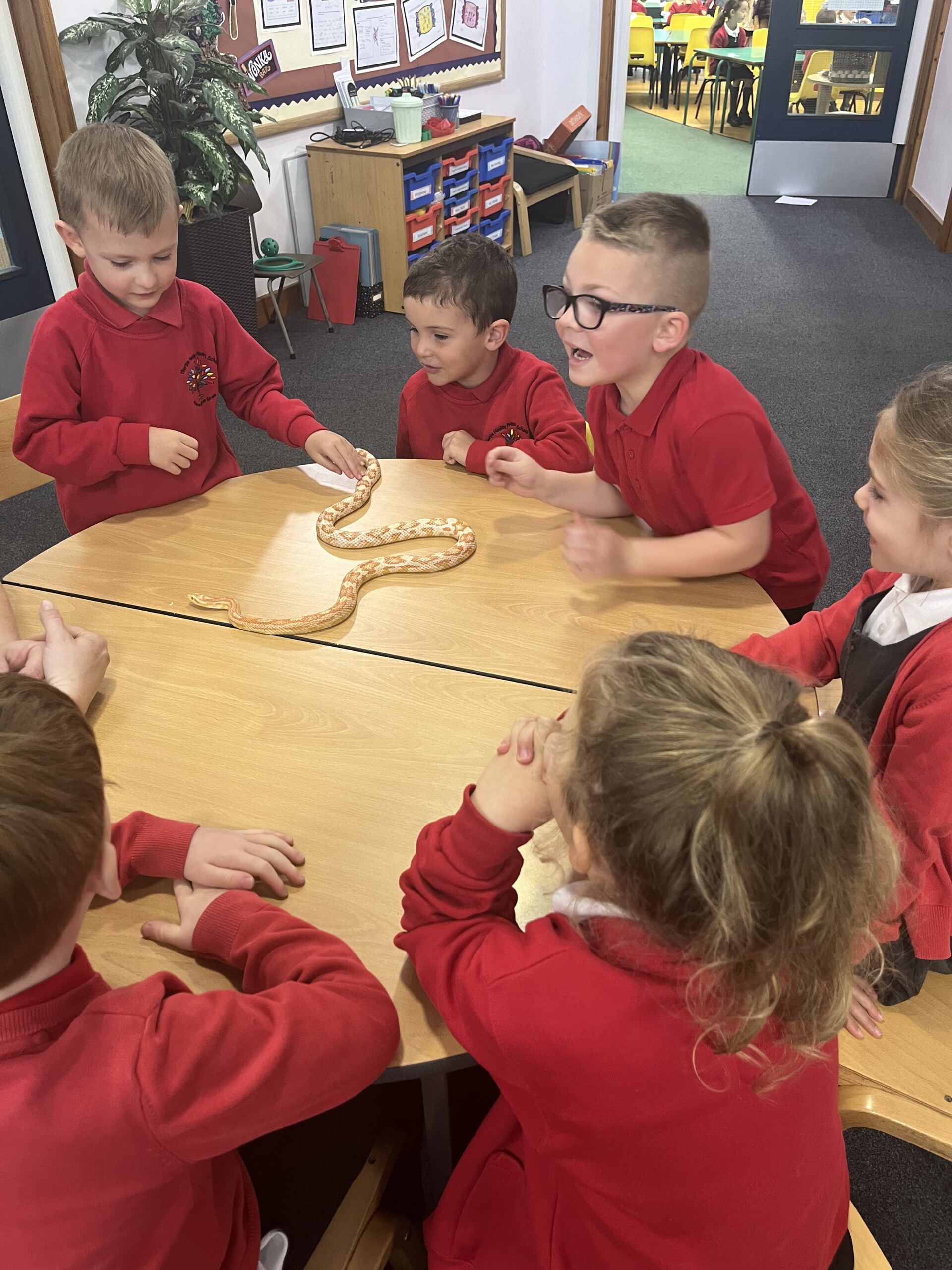 Class 6 : Thorpe Hesley Primary School