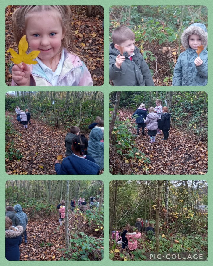 Outdoor Learning Day : Thorpe Hesley Primary School