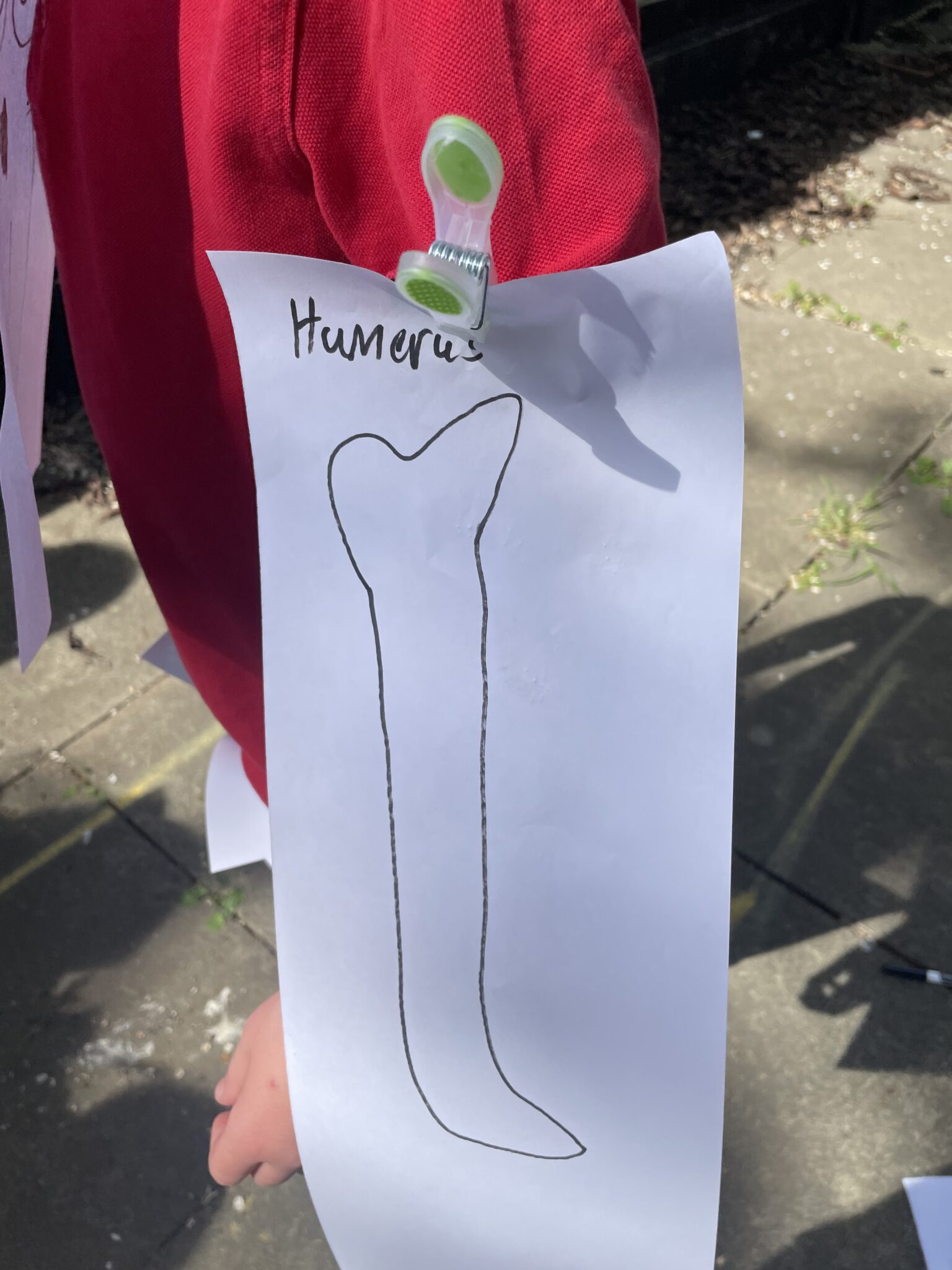 Spooky scary skeletons : Thorpe Hesley Primary School